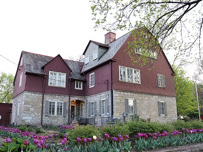 The Dr. Increase Mathews House stands as a Victorian beauty surrounded by tulips that seem to bow in respect to its historical significance.