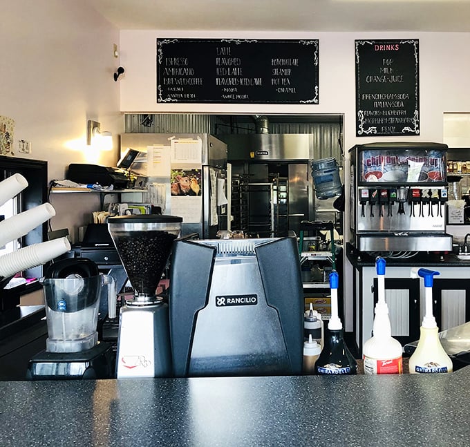 Behind this coffee equipment lies the science that transforms Monday mornings from unbearable to "I might survive this after all."