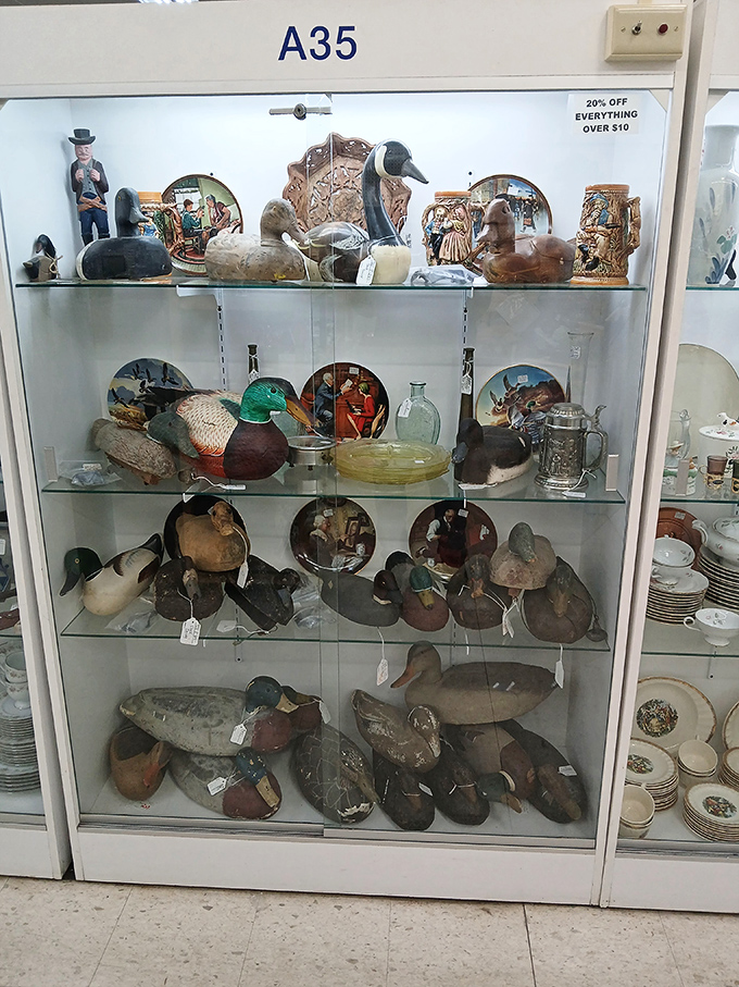 Duck decoy paradise! From practical hunting tools to collectible folk art, these wooden waterfowl have migrated to glass shelves instead of ponds.