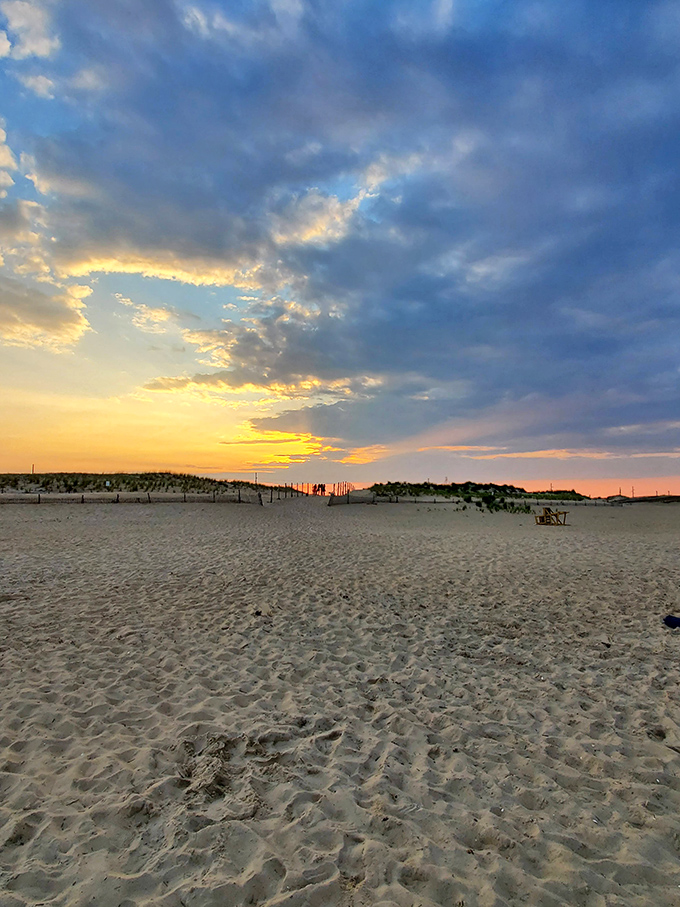 Coastal dunes catch the last light of day, creating a landscape that belongs in a nature documentary.