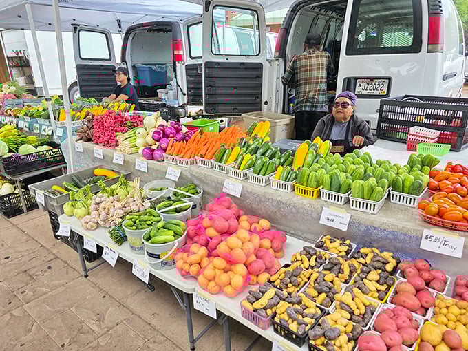 The farmers market's vibrant produce display makes grocery store tomatoes look like sad, distant relatives who never call or visit.