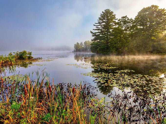 Morning mist on the lake&mdash;nature's way of saying, "No, you don't need another streaming service subscription." This view comes standard with Dexter living.
