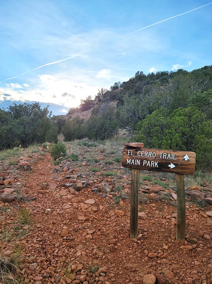 El Cerro Trail beckons hikers upward toward views that make the climb worthwhile, even for reluctant exercisers everywhere.