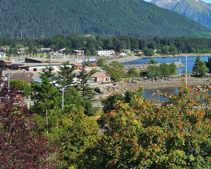 Sitka sprawls between mountain and sea, a community that has mastered the art of living harmoniously with nature's grandest elements.