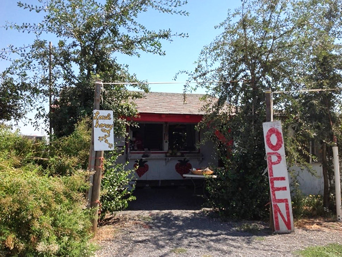 The farm stand entrance beckons like an old friend, promising honest food and a brief escape from our over-complicated world.