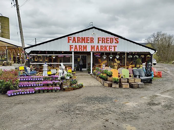 Farmer Fred's isn't selling produce&mdash;it's offering edible souvenirs from Pennsylvania soil, harvested by hands that understand the land. 