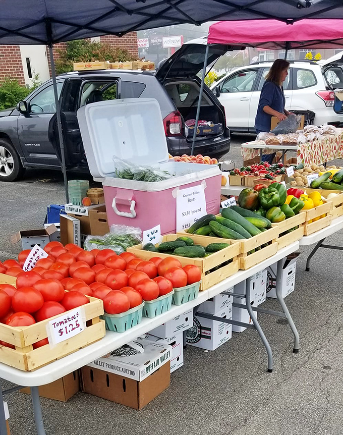 The local farmers market offers a rainbow of fresh produce that makes grocery store tomatoes look like sad, distant relatives of the real thing.