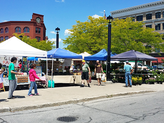 The farmers market transforms ordinary parking into extraordinary community space, where the distance from farm to table is measured in footsteps.