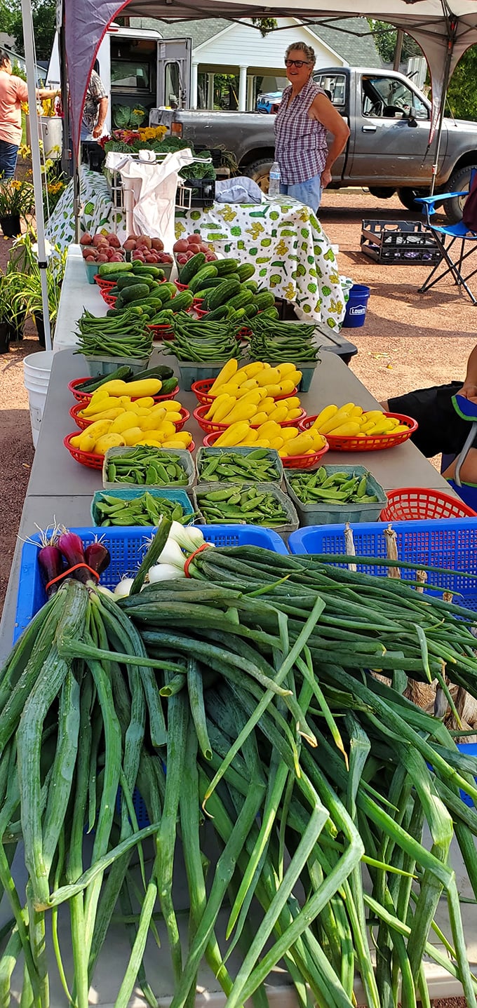 The farmers market bursts with summer's bounty&mdash;where conversations about squash recipes flow as freely as advice on tomato growing.