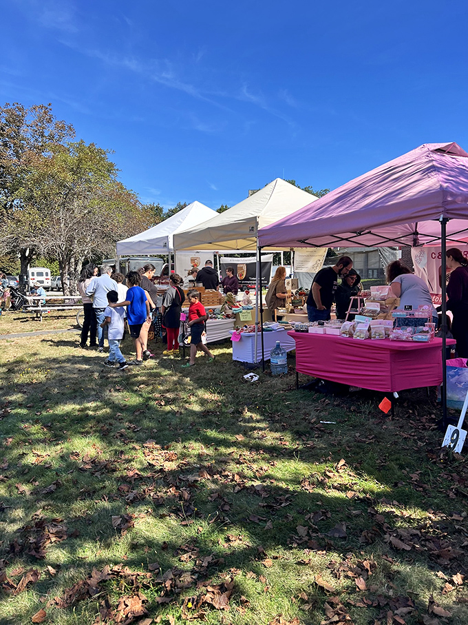 Gardner's farmers market creates that perfect small-town tableau where neighbors catch up while pretending they're just there for the fresh produce.