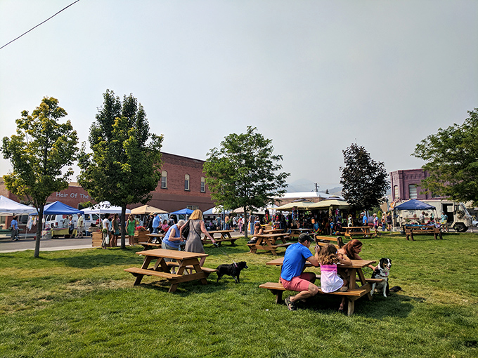 The Farmers Market transforms downtown into a community living room, where dogs, families, and affordable local produce create the perfect Saturday morning.