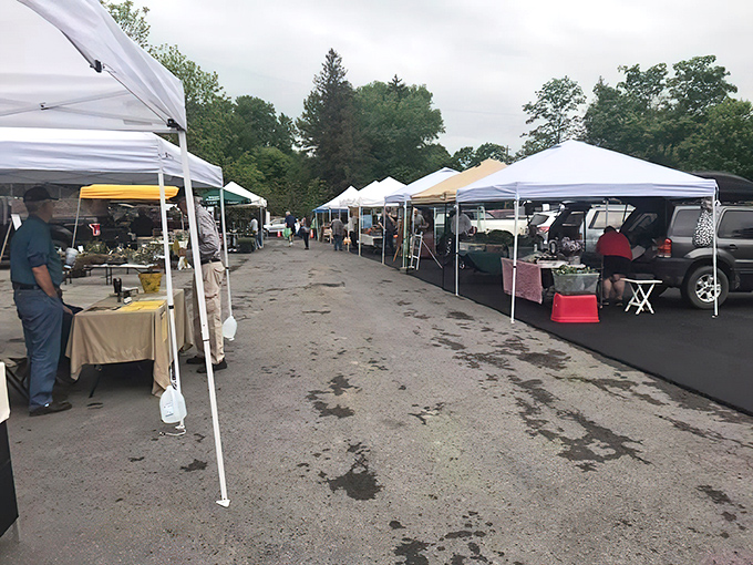 The farmers market brings together growers and makers under simple white tents, where the shortest distance between farm and table is a handshake.