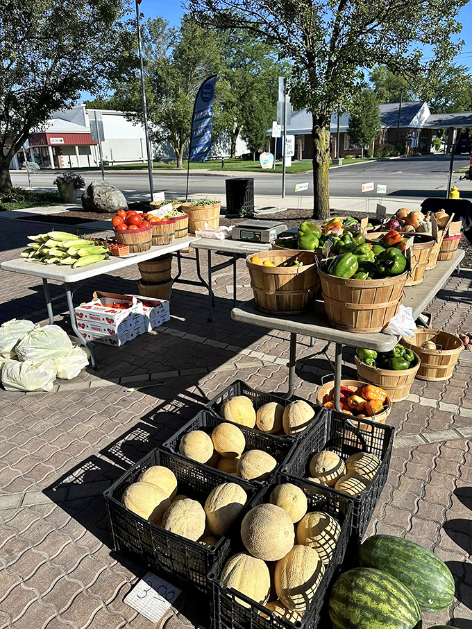 Farm-fresh produce at local markets costs less than those fancy metropolitan stores where they charge extra for the zip code.