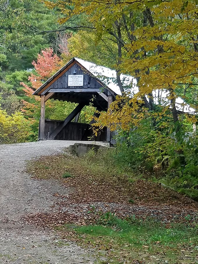 Nestled among autumn foliage, the bridge appears like a secret passage, waiting to be discovered around the bend.