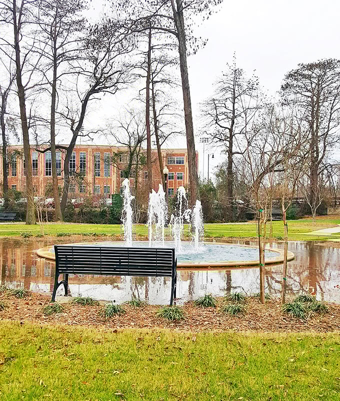 Festival Park's serene pond and bench invite contemplation, proving that sometimes the best retirement activity is simply sitting and watching the world go by.