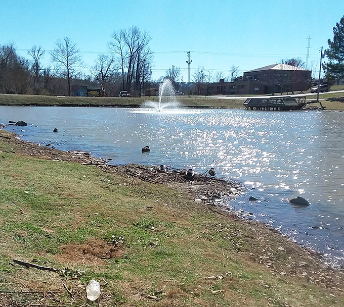 Fitzhugh Park's fountain catches sunlight like it's collecting diamonds, offering a sparkling backdrop for afternoon contemplation. Water features without water bills&mdash;retirement perfection.