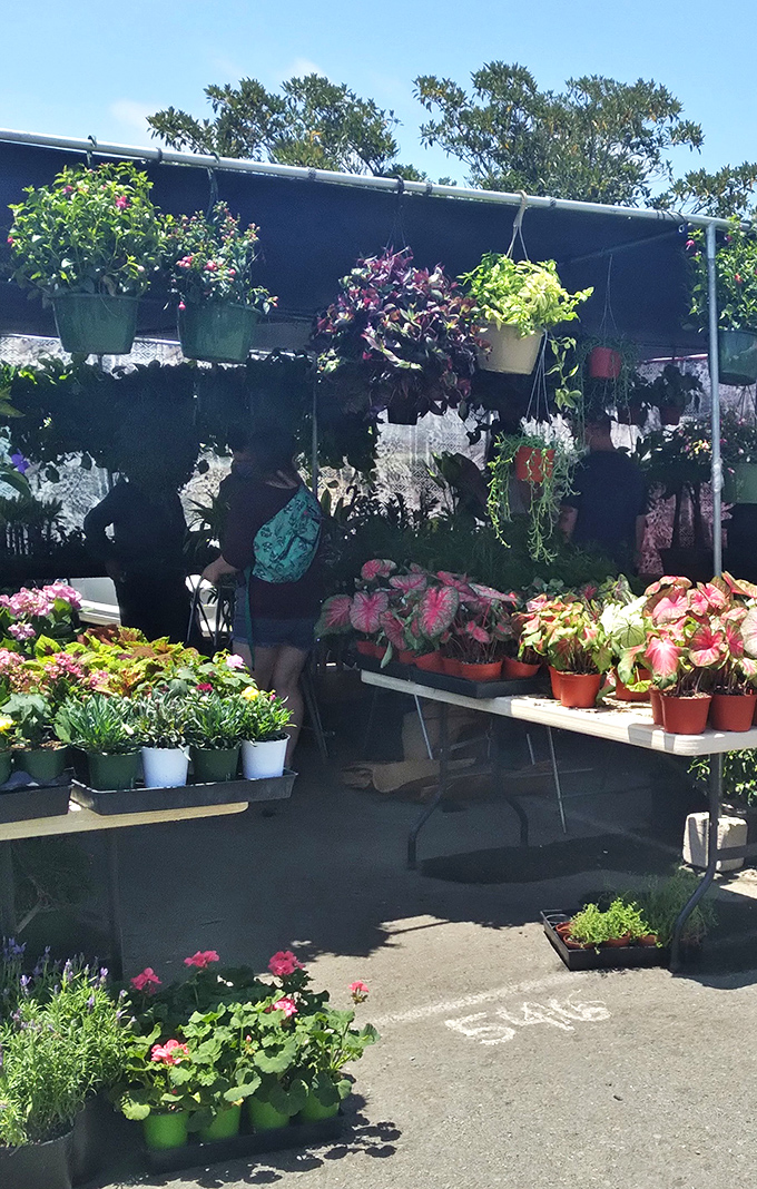 This plant oasis brings a touch of garden center elegance to the asphalt jungle, with hanging baskets creating a verdant canopy.