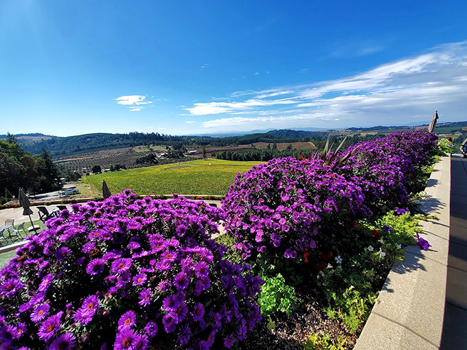 Vibrant purple blooms frame panoramic vineyard views creating Instagram-worthy moments at every turn here.