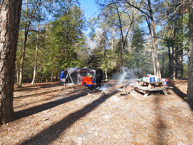 Camping as it should be. Morning campfire smoke rises through pine-filtered sunlight, promising a day of outdoor adventures.