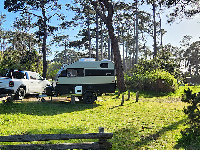 Camping nirvana achieved! This sun-dappled forest spot offers the perfect balance of wilderness and comfort&mdash;where pine-scented dreams come with convenient parking.