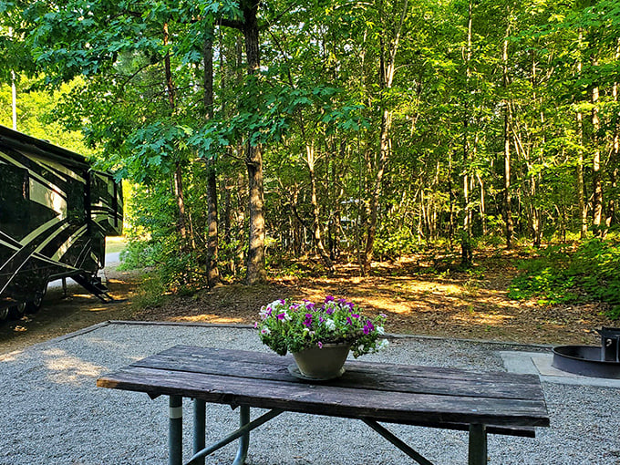 The perfect campsite doesn't exi&mdash; Oh wait, here it is: dappled sunlight, forest privacy, and just enough civilization to keep your coffee hot.
