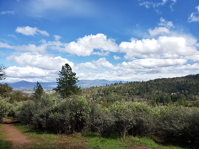 The hiking trails reward your effort with panoramic views of the Rogue Valley &ndash; nature's version of the big reveal in a home makeover show.