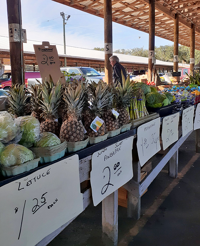 Produce that puts supermarkets to shame. These pineapples and vegetables didn't travel from another hemisphere to meet you.