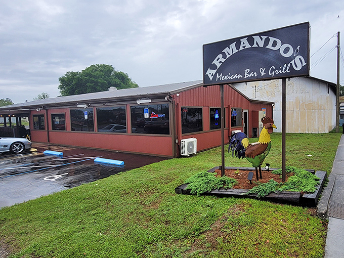 That metal rooster standing guard outside Armando's isn't just decoration&mdash;he's the unofficial mayor of flavor town, welcoming hungry visitors.