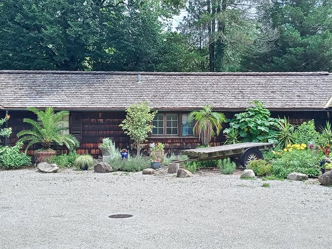 Garden wisdom lives here: this charming maintenance building houses the tools and expertise that keep botanical magic alive year-round.