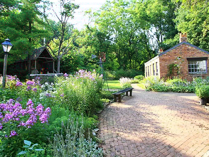 Gardens bloom with riotous enthusiasm along this brick pathway, creating a scene that would make Claude Monet reach for his paintbrush.