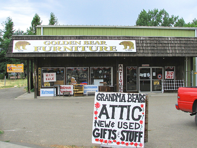 Golden Bear Furniture and Grandma Bear's Attic offer new, used, and "stuff" &ndash; the kind of honest retail experience that big box stores tried to eliminate.