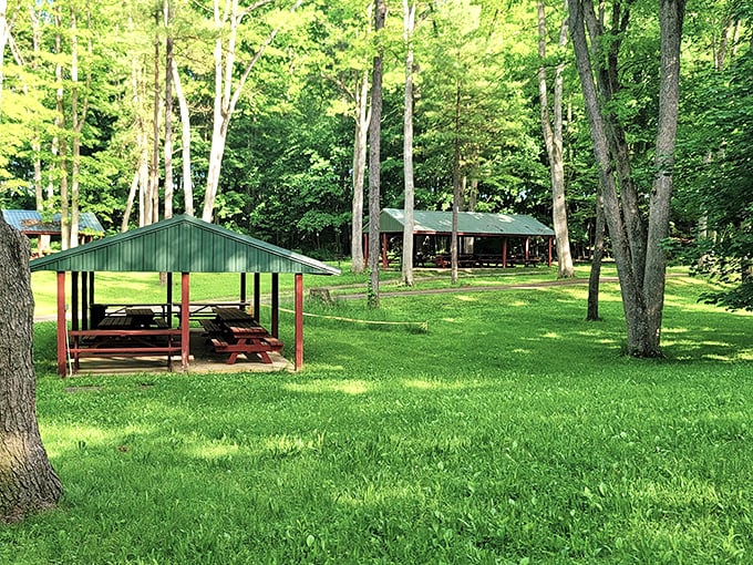 Governor's Park offers shaded picnic pavilions where family reunions and first dates have unfolded for generations beneath a canopy of Pennsylvania pines.
