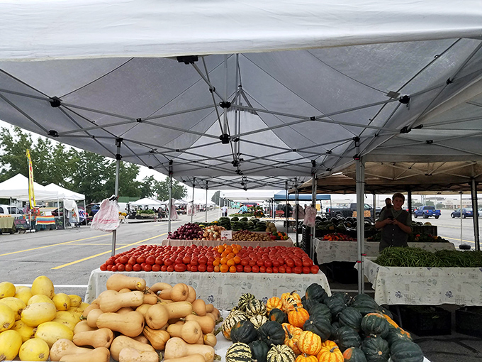 The Greater Springfield Farmers' Market showcases nature's color palette through fresh produce, where vegetables are displayed with more pride than some art galleries.