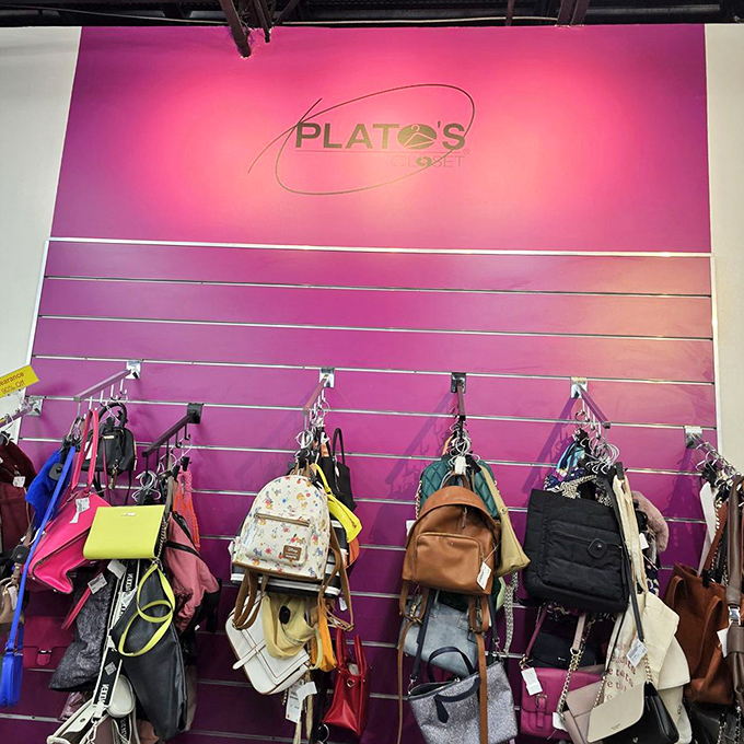The pink wall of handbag fame showcases everything from practical totes to "special occasion only" statement pieces.
