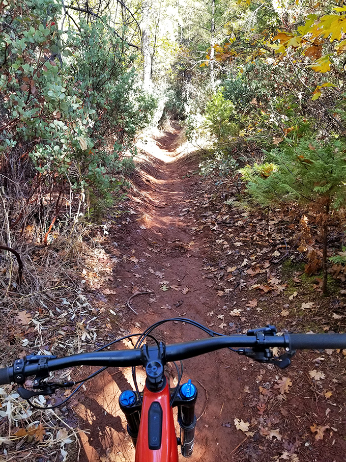 This dirt trail beckons mountain bikers with the universal language of outdoor adventure: a narrow path, dappled sunlight, and the promise of earned exhaustion.