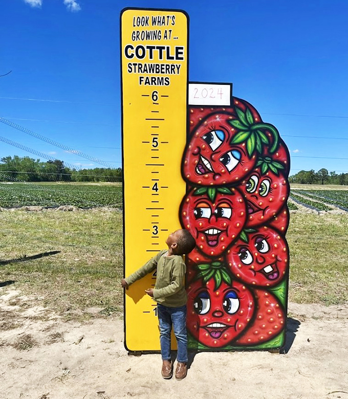 "How tall this season?" The farm's growth chart measures both children and curiosity, with strawberry faces cheering every inch.