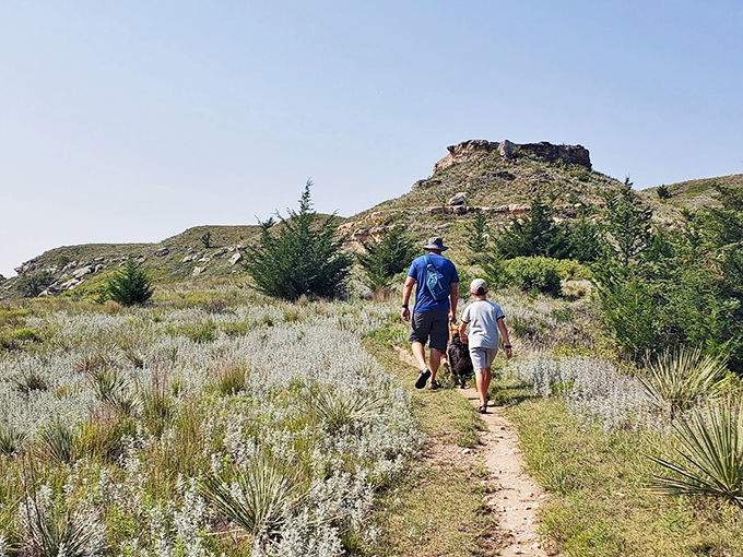 Hiking trails that promise adventure without requiring you to train like you're climbing Everest &ndash; perfect for mortals.
