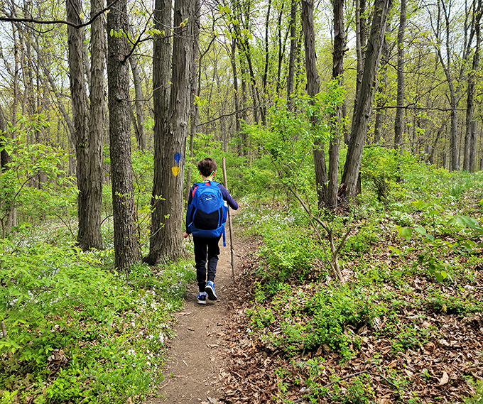 The hiking trail ahead whispers promises of adventure, while your legs quietly negotiate how far they're willing to go.