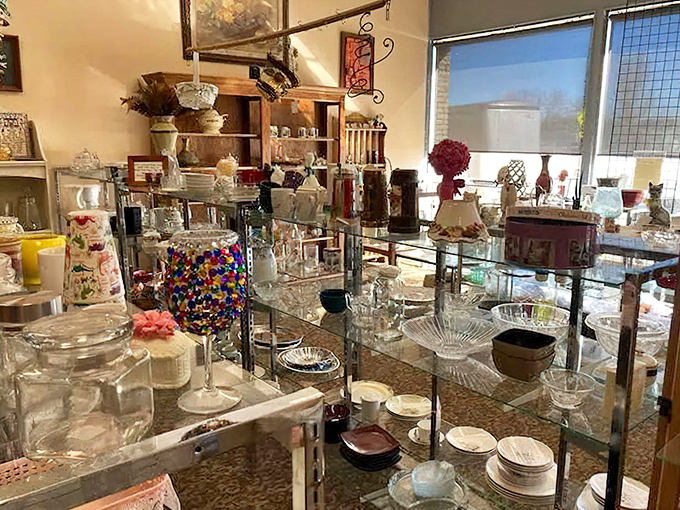 Glassware and dishes sparkling on shelves like your grandmother's china cabinet exploded into affordable, accessible pieces for everyone.