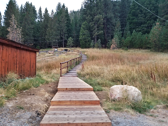 A humble wooden walkway that invites contemplation with every step. No smartwatch needed to count these steps.