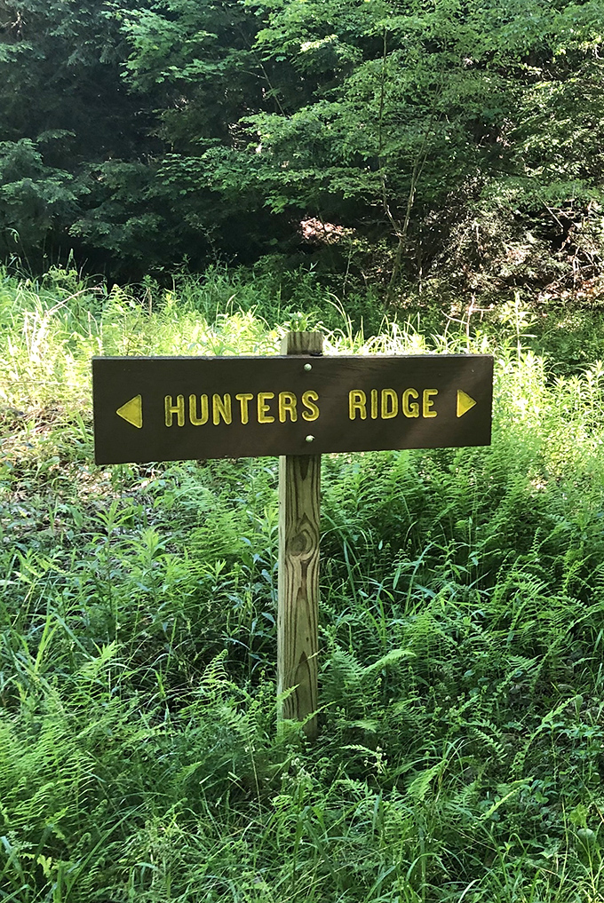 Trail signs at Chapman don't just provide directions&mdash;they offer invitations to discover what's around the next bend.