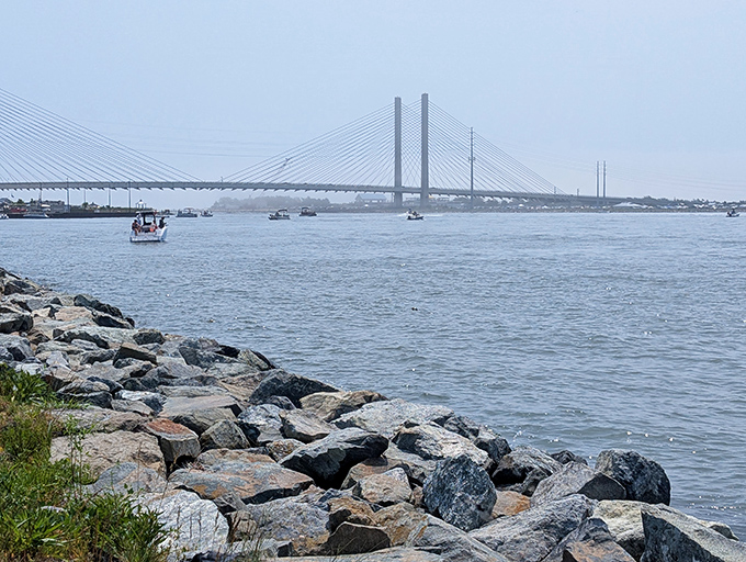 The Indian River Inlet Bridge spans the water with engineering grace that somehow doesn't clash with natural beauty.