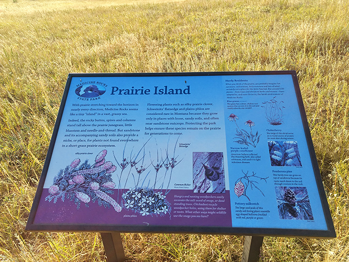 "Prairie Island" isn't just poetic license&mdash;these grasslands surrounding the rocks create a vital ecosystem teeming with specialized wildlife.