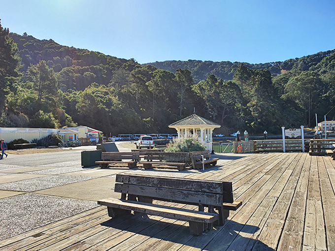 The island's dock offers a front-row seat to the daily ballet of sailboats and ferries, with benches perfectly positioned for the show.