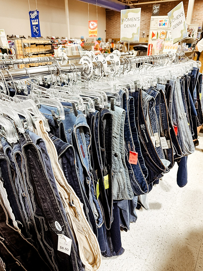 Denim for days! The jeans section is meticulously organized by size, proving that thrift shopping doesn't have to mean treasure hunting through chaos.