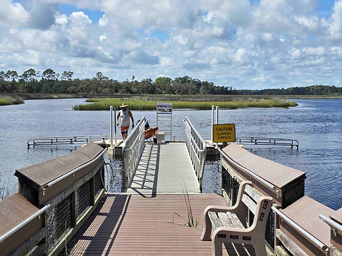 The boat dock beckons water enthusiasts with the promise of adventures where the only traffic jams involve turtles sunning themselves.