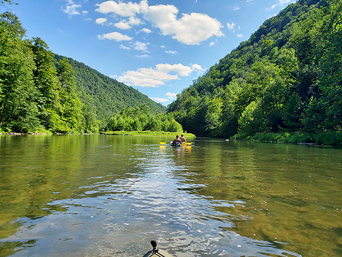 Kayakers glide through the canyon's embrace, experiencing the ultimate surround-sound theater of rushing water and rustling leaves.