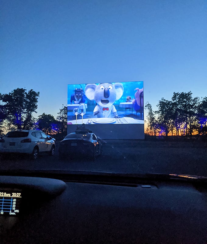 Animated koalas on the big screen prove this place shows everything from blockbusters to family-friendly fun for everyone.