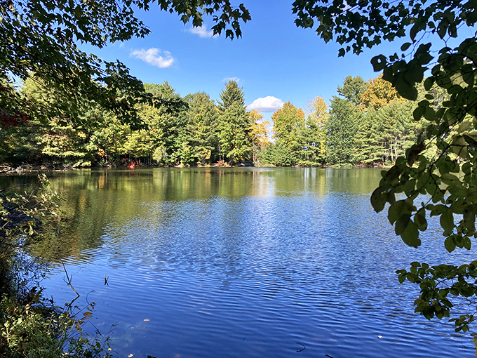 Mirror, mirror in the woods&mdash;this tranquil lake reflects autumn's fashion show with perfect clarity. Nature's runway at its finest.