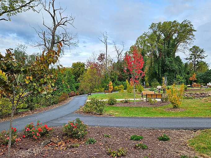 Fall colors transform this park pathway into a painting come to life. Urban dwellers pay top dollar for views that Jonesborough residents enjoy daily.